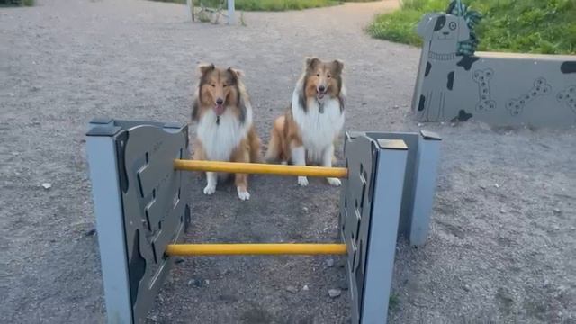 Портос в гостях у Хуру, сентябрь 24 - 2