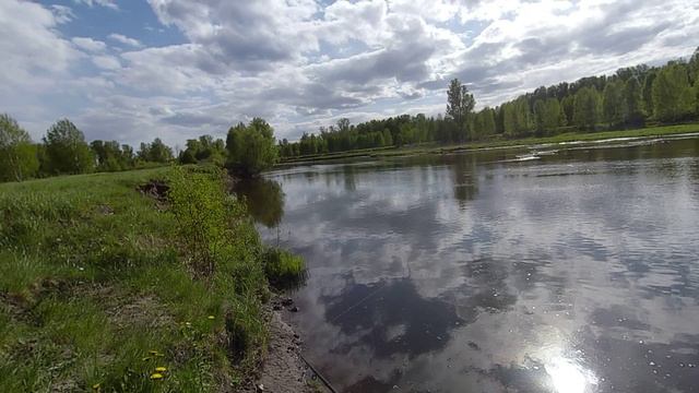 РЫБАЛКА НА КРАСИВОЙ РЕКЕ В ЖИВОПИСНОМ МЕСТЕ