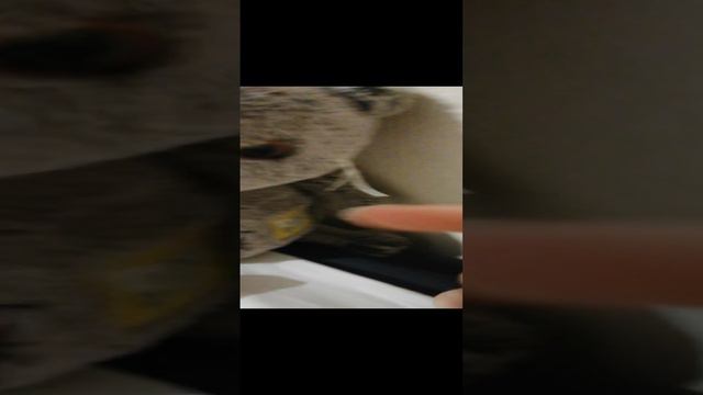 Делаю сальто?! 😱