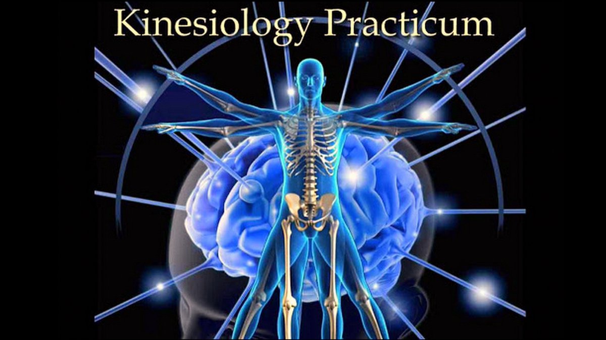 Законы функциональной неврологии #2