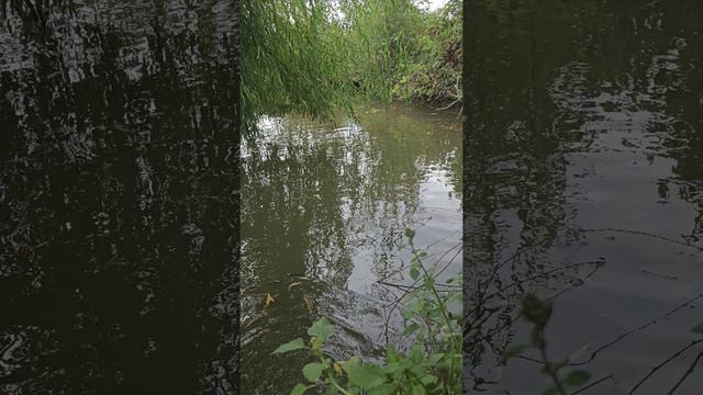 Ловим Сома На Блесну 👍Рыбалка в Дагестане👍 #рыбалов #Fishing