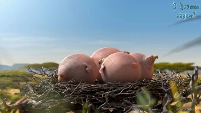 "Надутые" животные. Мультфильм