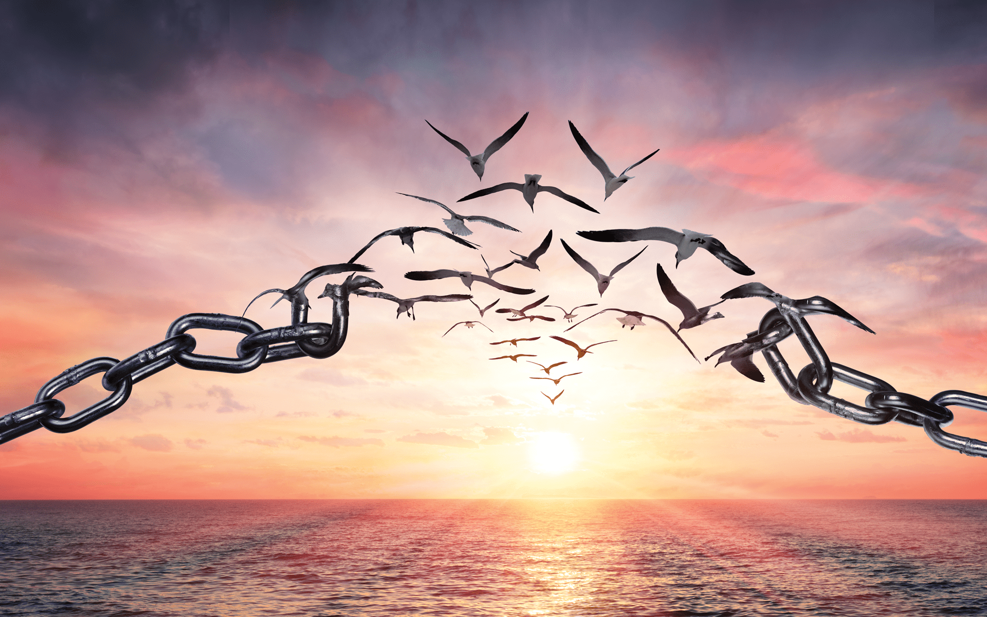 СВОБОДА ОТ КАРМЫ