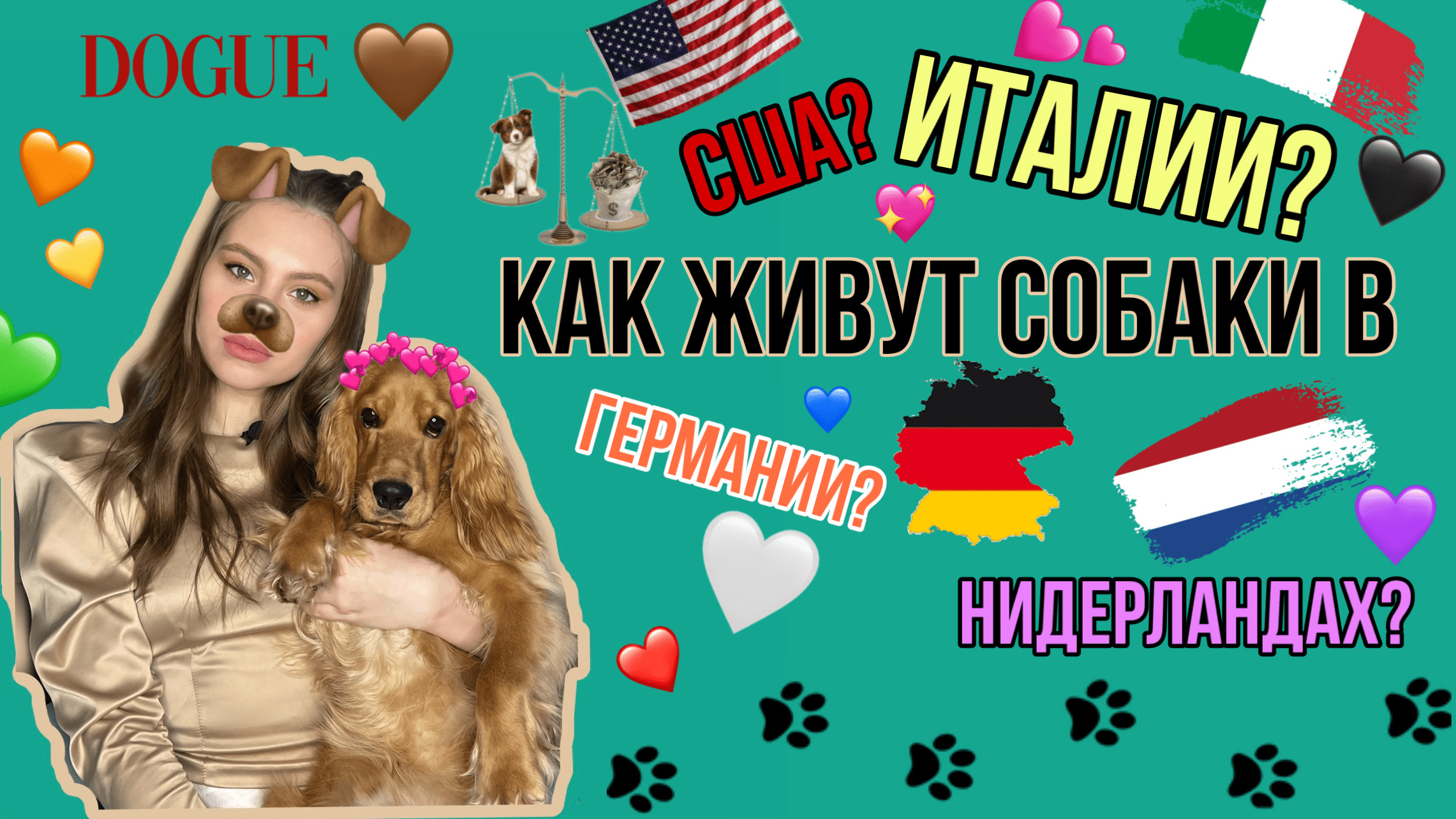 Как живут собаки в некоторых из развитых стран? Какие законы существуют? Можно с собакой в кафе?