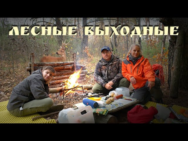 ОТДЫХ В ЛЕСУ 31 ОКТЯБРЯ 2020