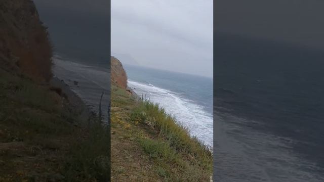 20221128_Митя Шагин_Море волнуется.mp4