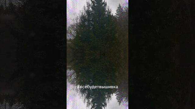 Вышивка вокруг 2