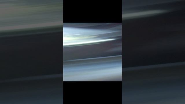 Весёлые праздники:):День защиты ёлок.