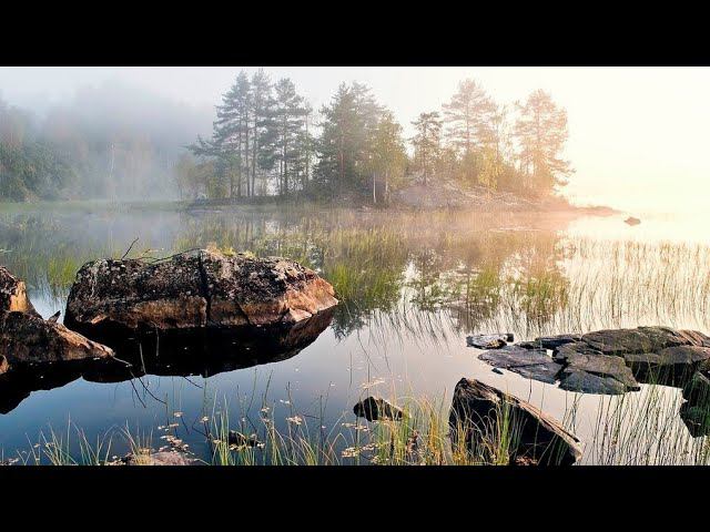 Ладога 2021г