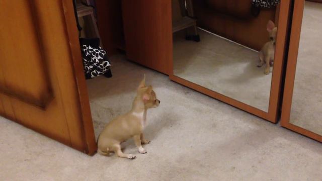 Юлька - встреча с собой