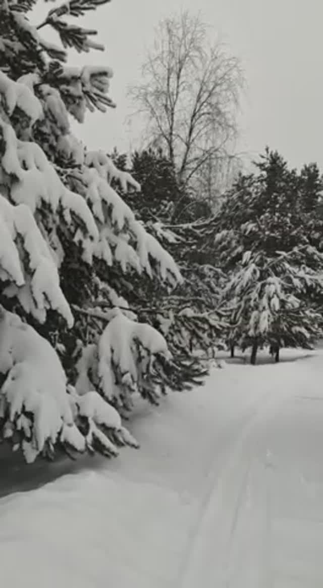 СНЕГОМ СТАТЬ