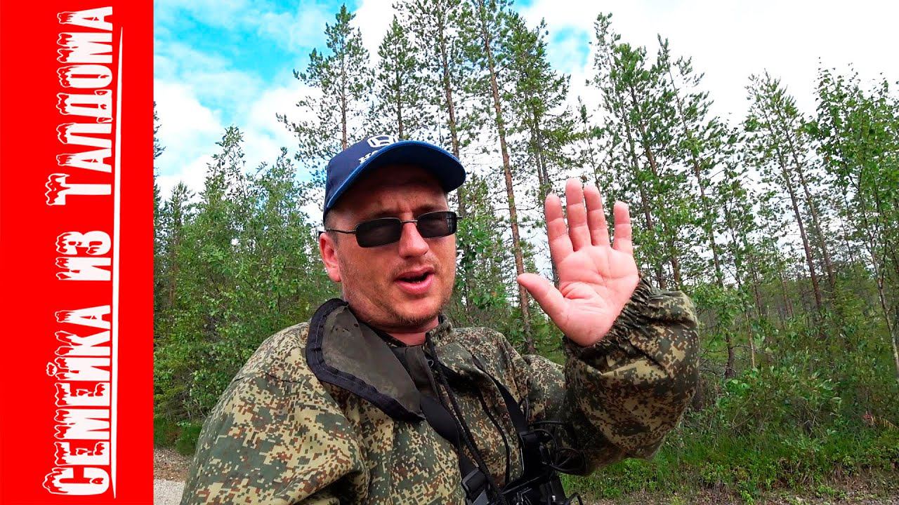 За морошкой на болото в поселке Умба