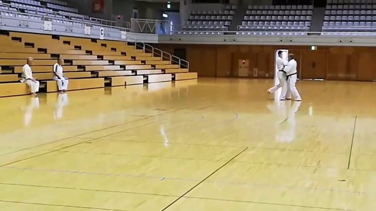 Годзю Рю каратэ-до. Aleksandr Grib - demonstration of Kata and Bunkai, for Sensei Morio Higaonna.
