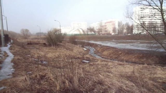 Овраг, весна. Пойма реки Ивановки, Санкт-Петербург.