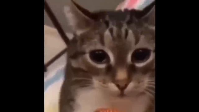 Раша Наша мем