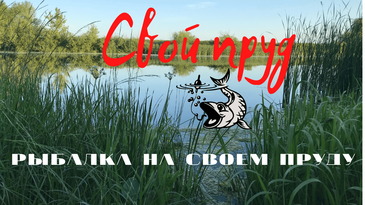 ПРУД. РОЖДЕНИЕ ПРУДА!!! Свой пруд. Мой пруд. Собственный пруд. Пруд без пленки. Копаем экскаватором.