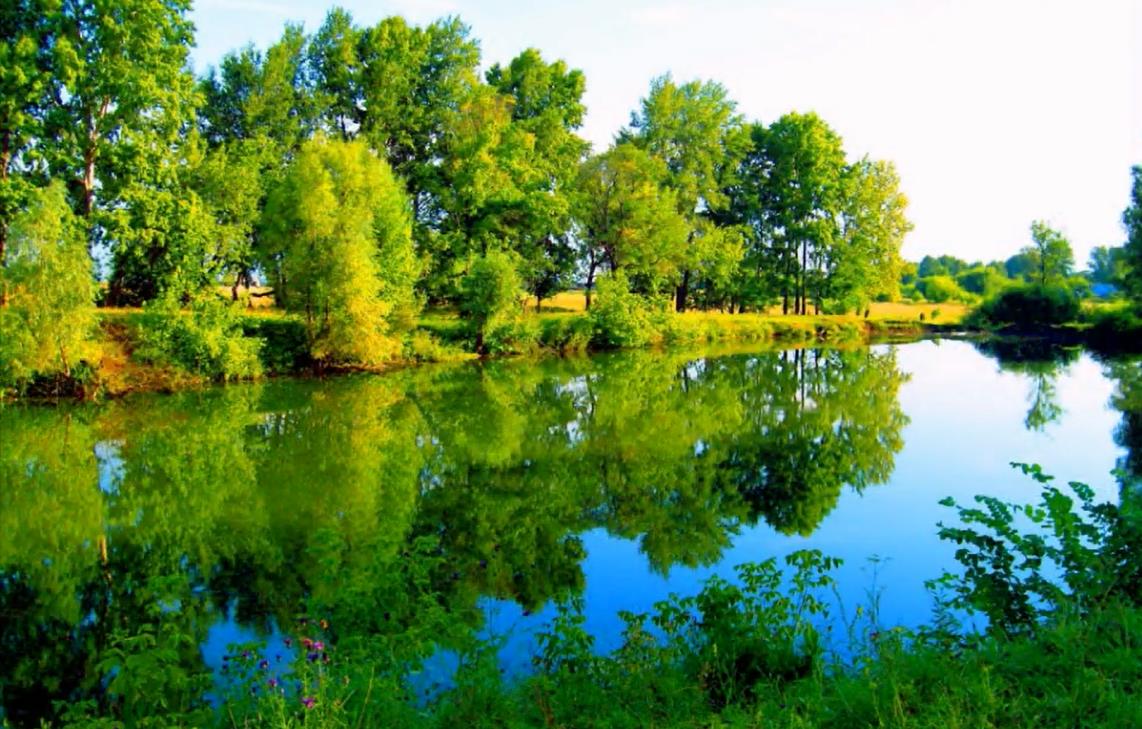 Это наш мир. Это наша Русь