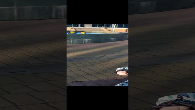 Гуляем. Пришли на учебу.