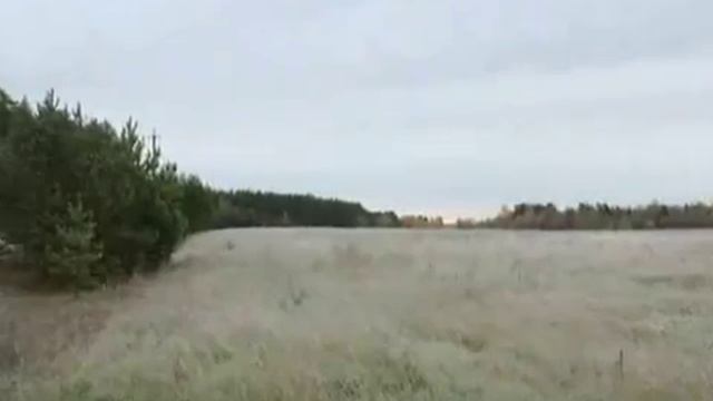 Заморозки - First autumn frosts