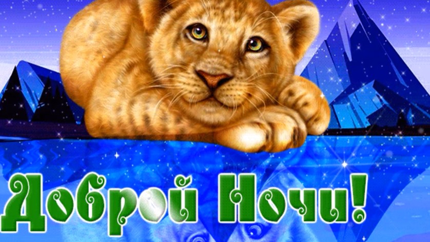 Доброй ночи, любимый. Пусть приснюсь тебе ночью я.