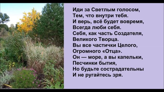 Стихи о жизни Радуга согласия  Татьяна Логиновская