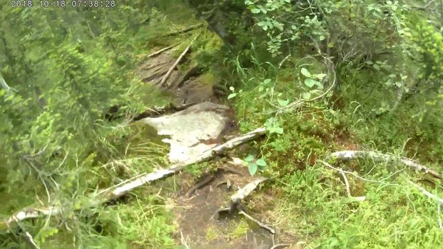 Радиалка на водопад Мраморный(Тушканчик), Ергаки июль 2020г., 09.07.2020г