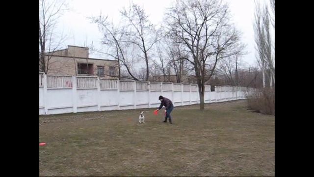 Фризби Вебстайл 2015  Наталья и Буба.mp4