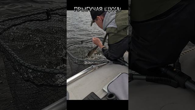 Долгожданная Щучка!
#Щука #рыбалка #джиг #fishing