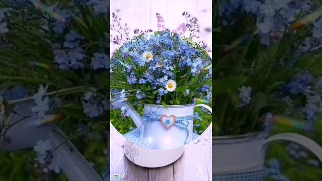 Прекрасного утра. Хорошего дня