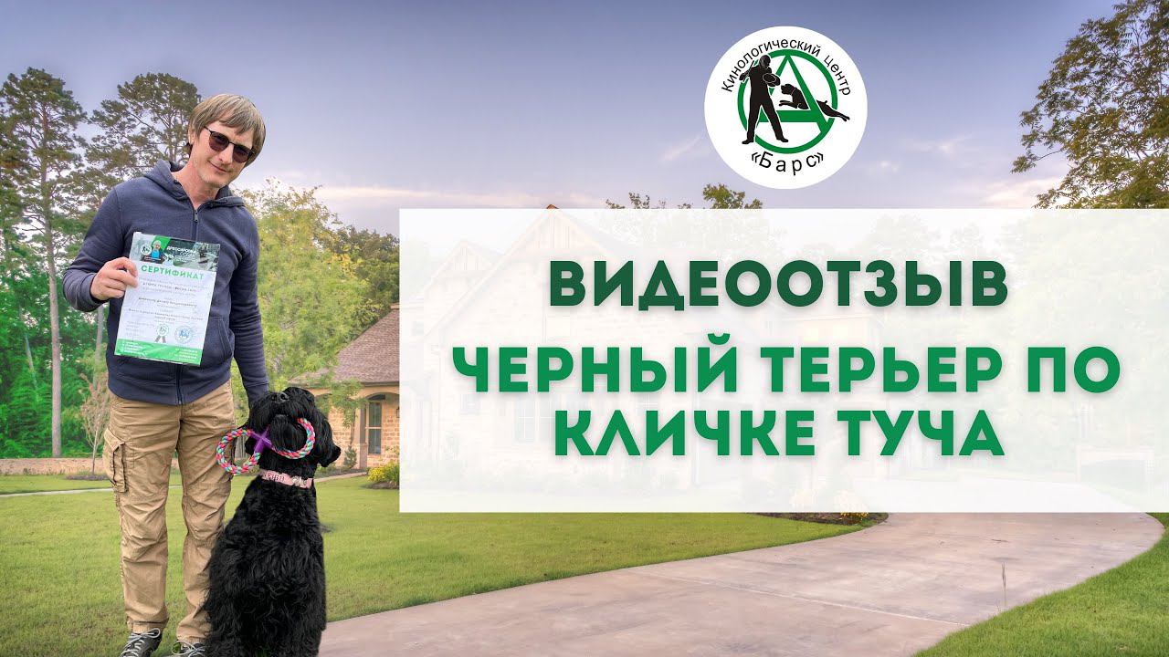 ЧЕРНЫЙ ТЕРЬЕР. ВИДЕООТЗЫВ. ДРЕССИРОВКА СОБАК КЦ «БАРС»