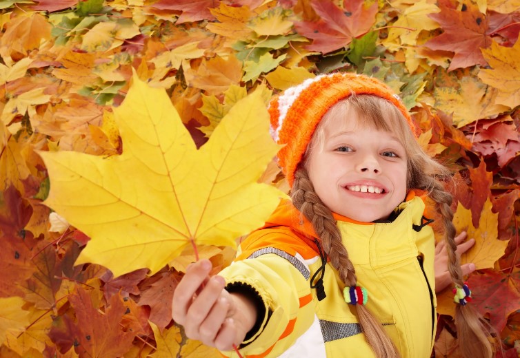 Кленовый лист. Осенью. Автор текста Светлана Орлова. Стихи