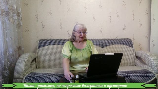 Такие знакомы нам валериана и пустырник Что мы о них еще не знаем.