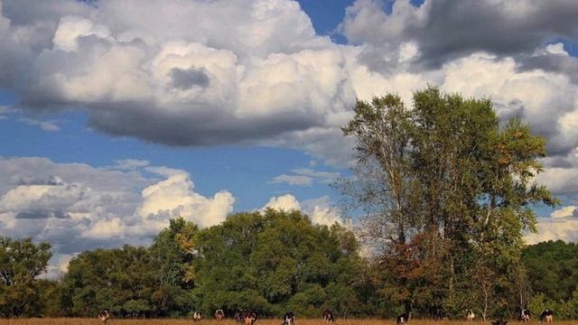 "ВОТ И ОСЕНЬ"... (Фото Игоря Баранова (Рязань), музыка Джованни Марради)