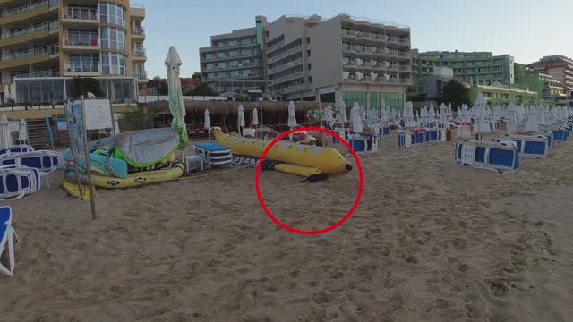 Черная кошка на пляже