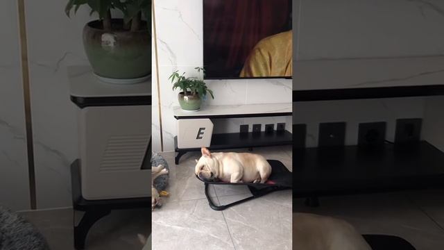 Поели можно и поспать