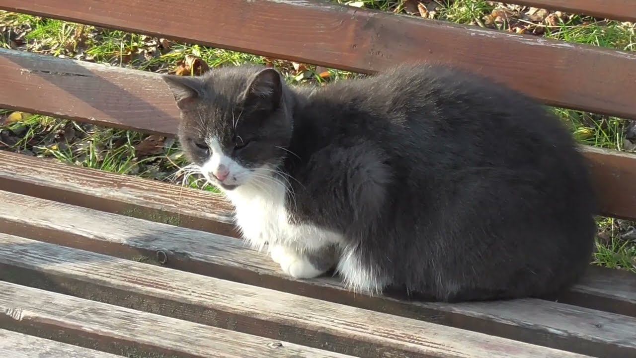 Осенне зимние зарисовки