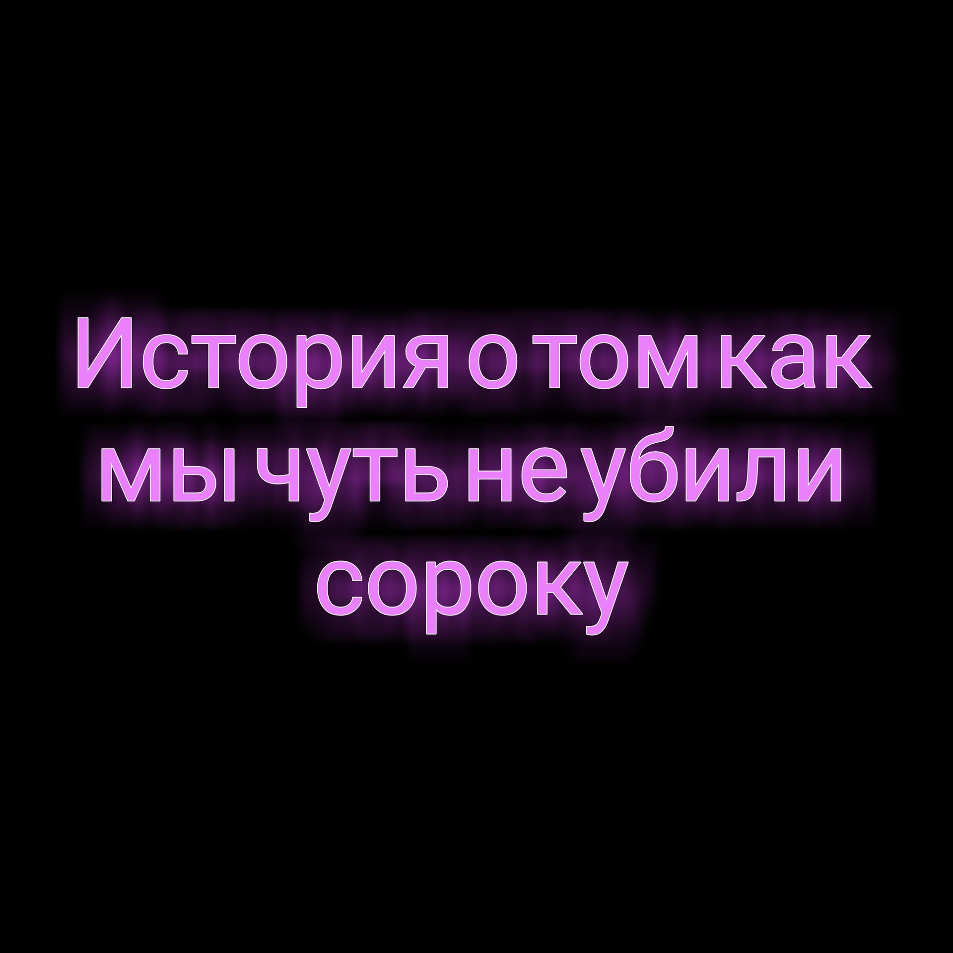 История о том как мы ЧУТЬ НЕ УБИЛИ СОРОКУ!? | Реальная история из жизни
