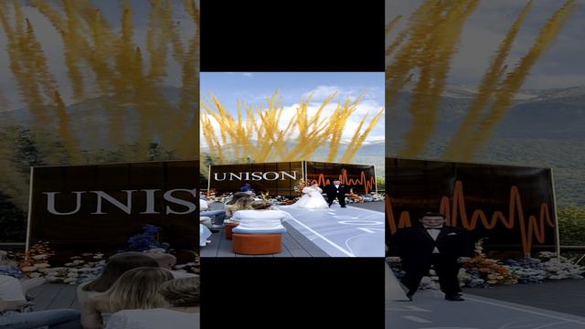 Выездная регистрация (цветной дым, фейерверк)