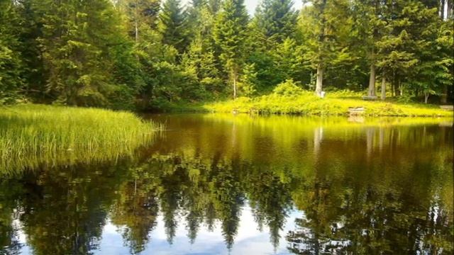 Духовность на продажу. Как не стать жертвами сущностей.