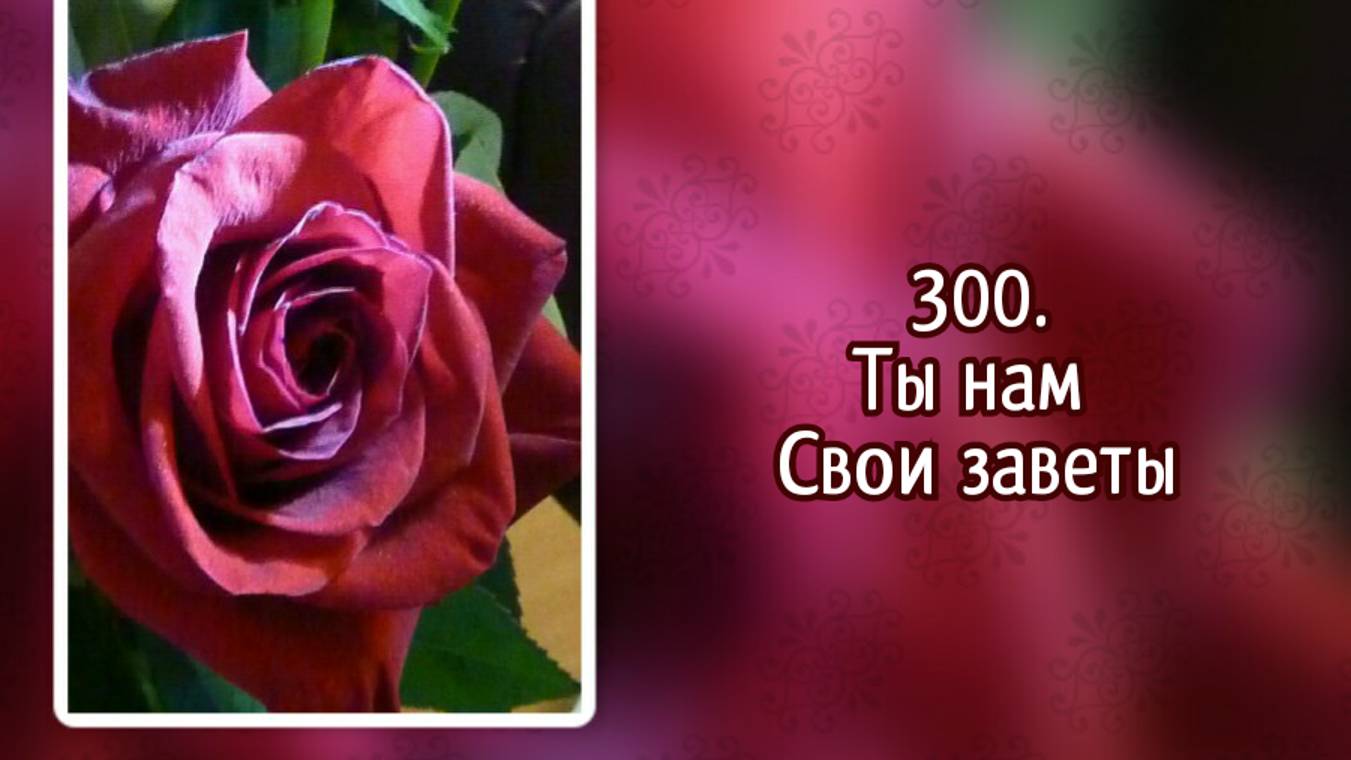 Гимны надежды 300 Ты нам Свои заветы (-)