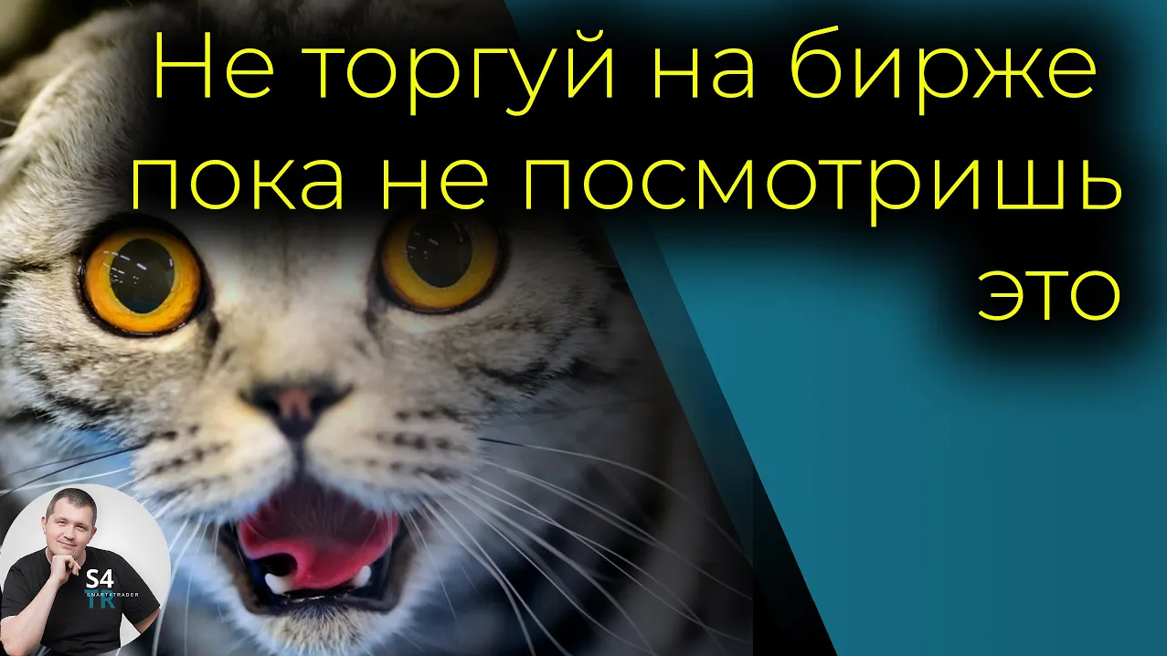 Не торгуй на бирже пока не посмотришь это видео | Об этом еще никто не говорил и не показывал.