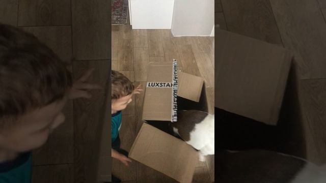 Коробка лучший друг человека @LUXSTAHL #luxstahl #дистиллятор #распаковка