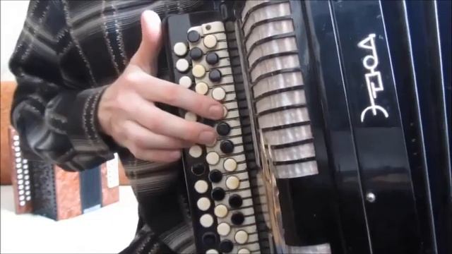 Голубая ночь  - баян/вокал - Наташа П.mp4