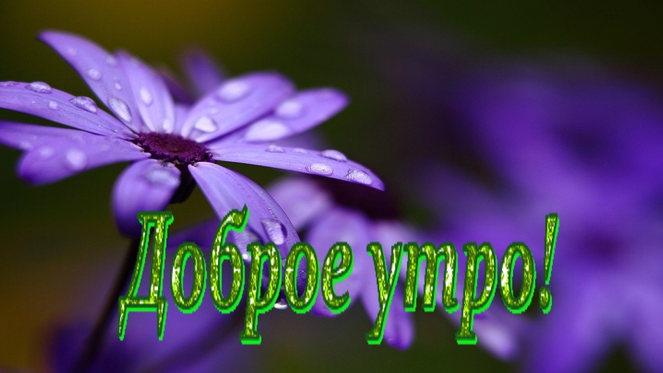 ?ДОБРОЕ УТРО!