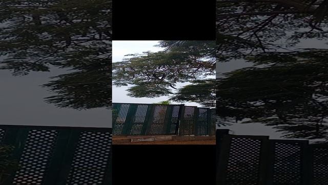 Красное море, Египет , Шарм , Шарм эль ШЕйх