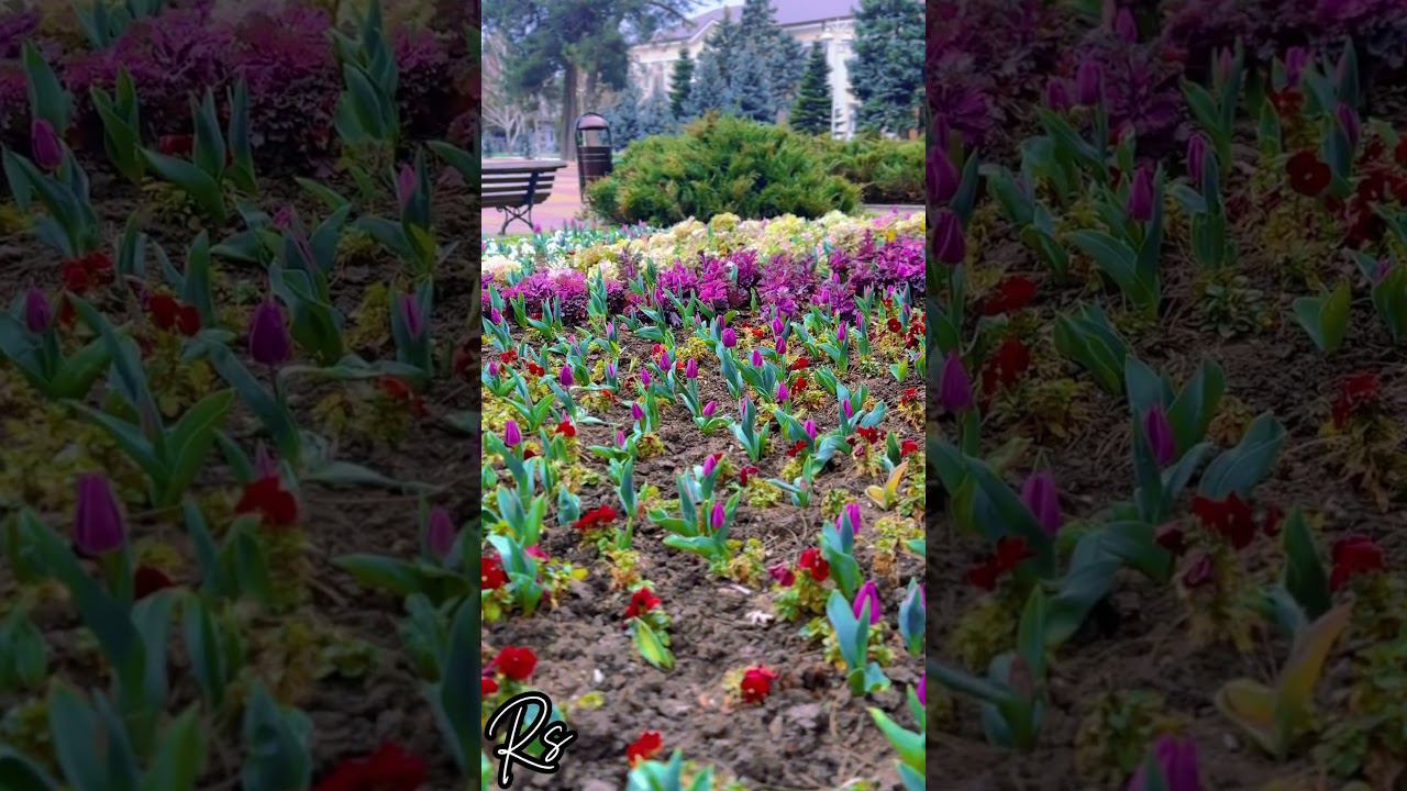 Геленджик город глазами «когда хочется жить
изготовление видео для вас http://t.me/RostProduction