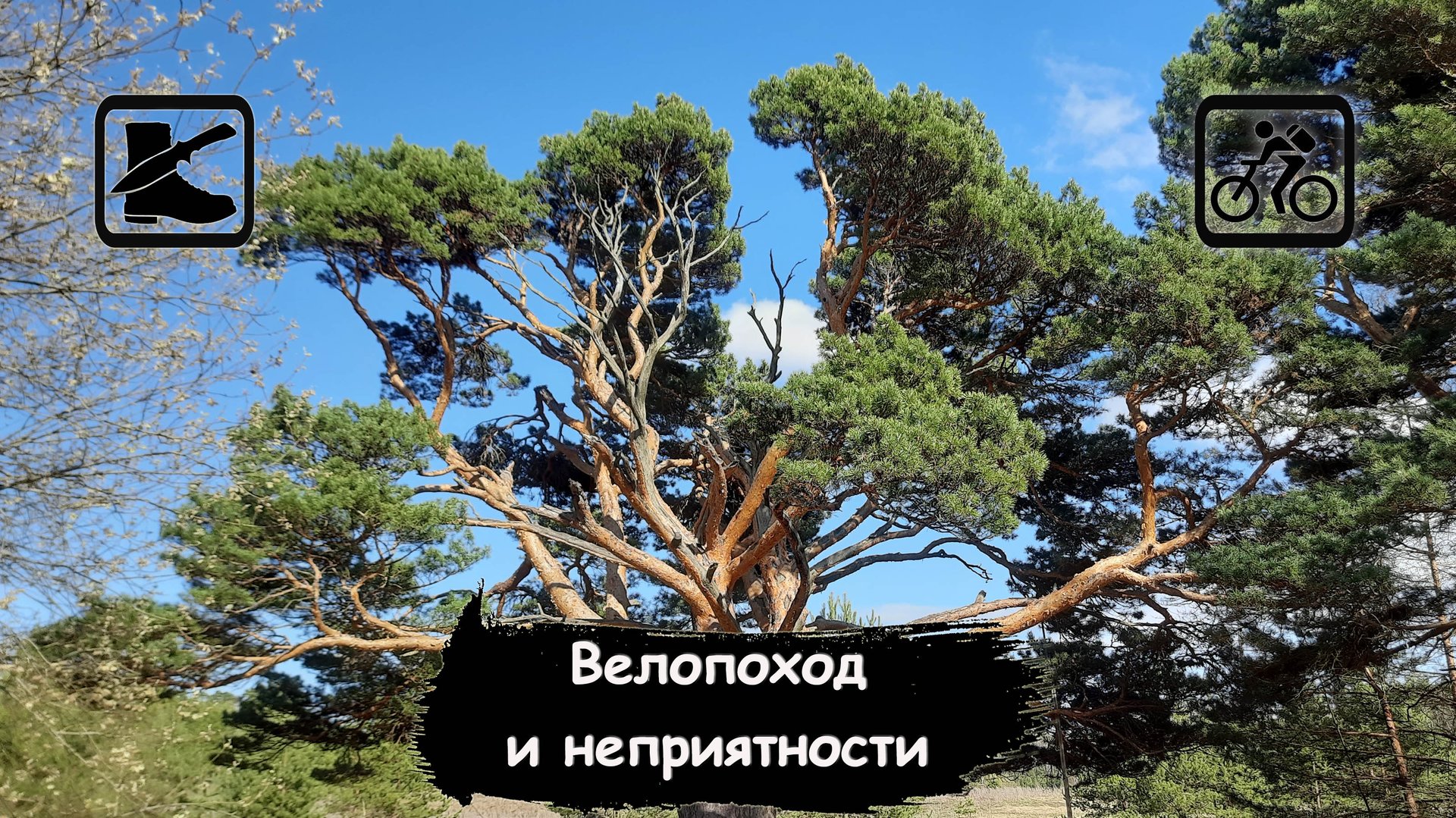 20.04 Велопоход с проблемами