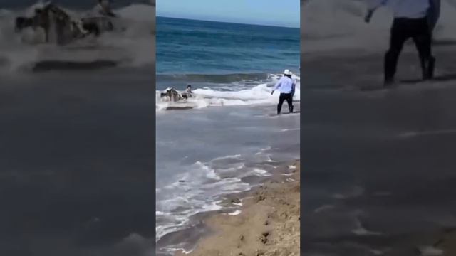 Кадры реального "ковбойского триллера", снятого, вероятно, на берегу Мексиканского залива, публикуют