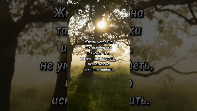 Максим Горький. Цитаты. Когда коротко и по делу #6