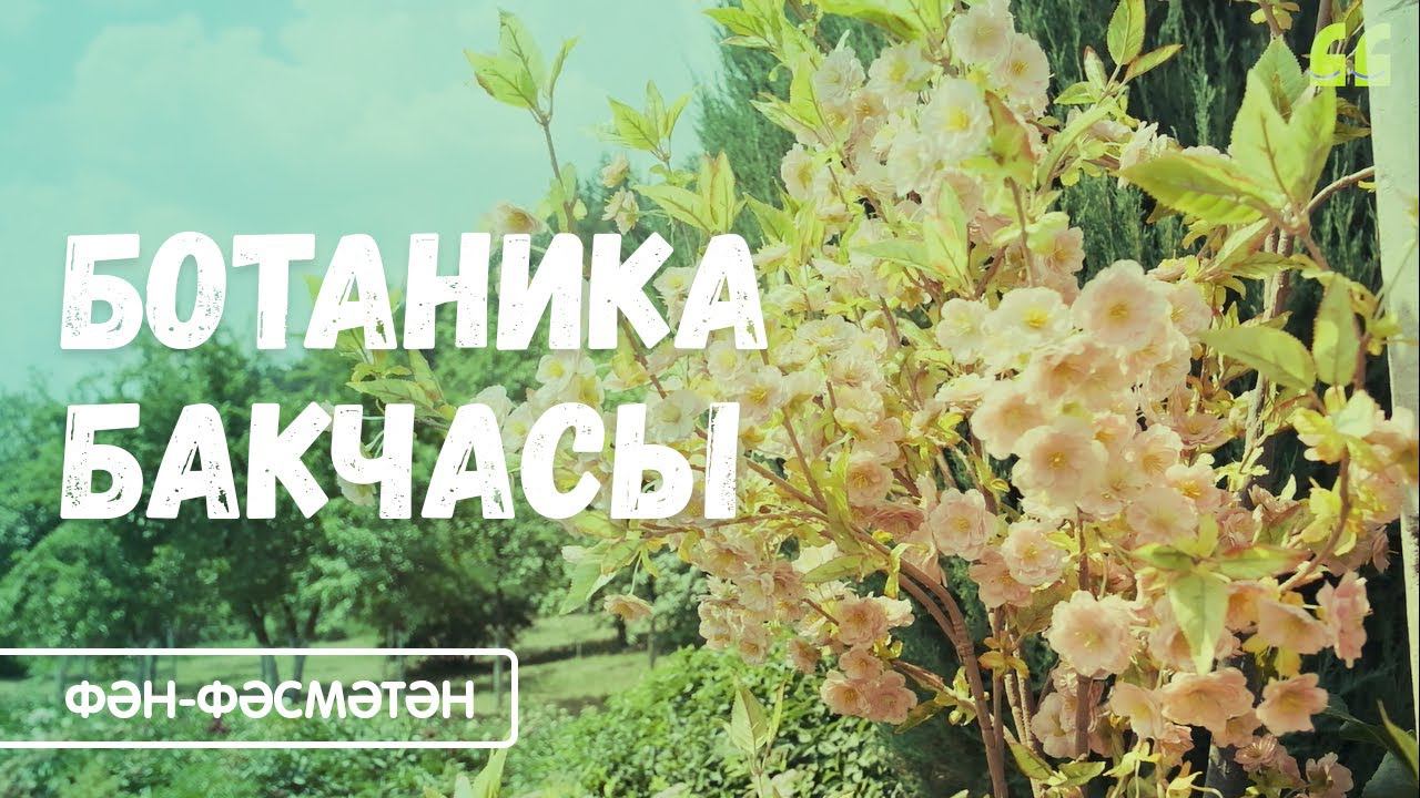 ФӘН—ФӘСМӘТӘН / Ботаника бакчасы / Ботанический сад
